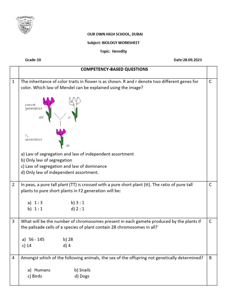 Gr-10 Heredity-Worksheet With Answers | PDF | Dominance (Genetics) | Ploidy
