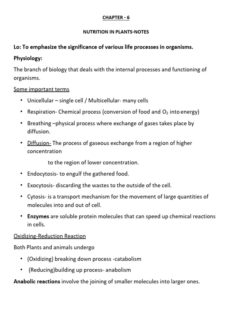 Nutrition in Plants Notes | PDF