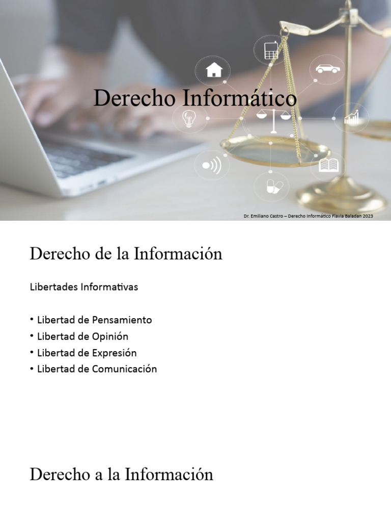 Derecho Informatico 2 | PDF