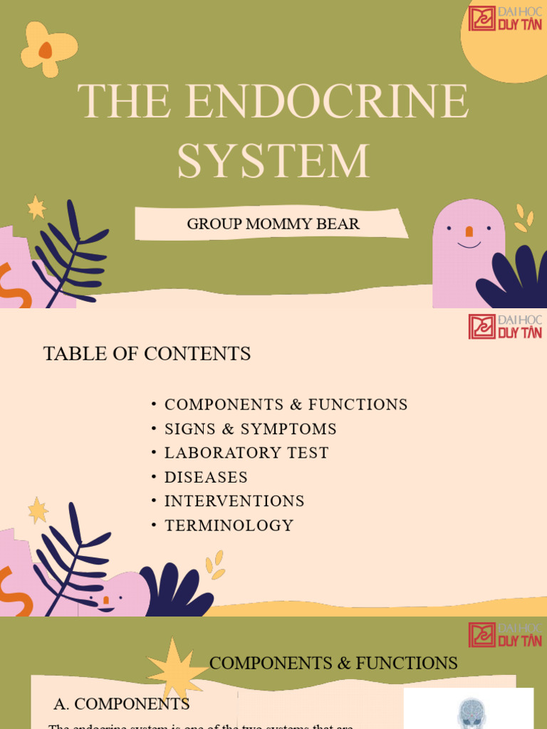 U3 The Endocrine System ENG 235X | PDF | Endocrine System | Thyroid