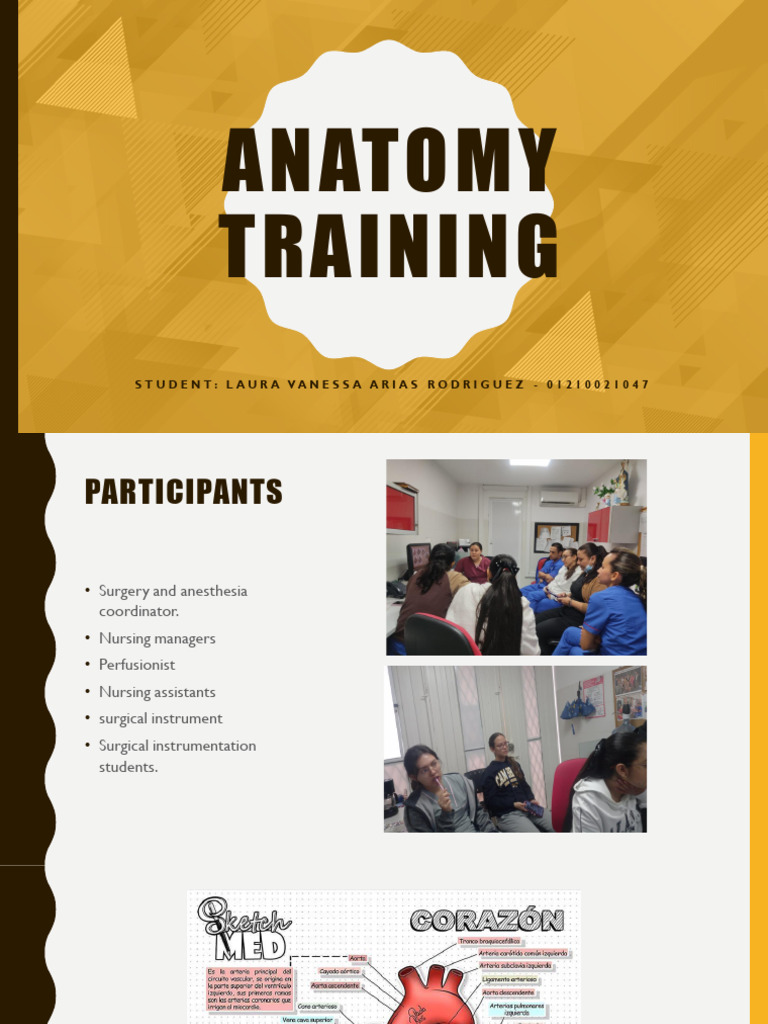 anatomy training instituto | PDF