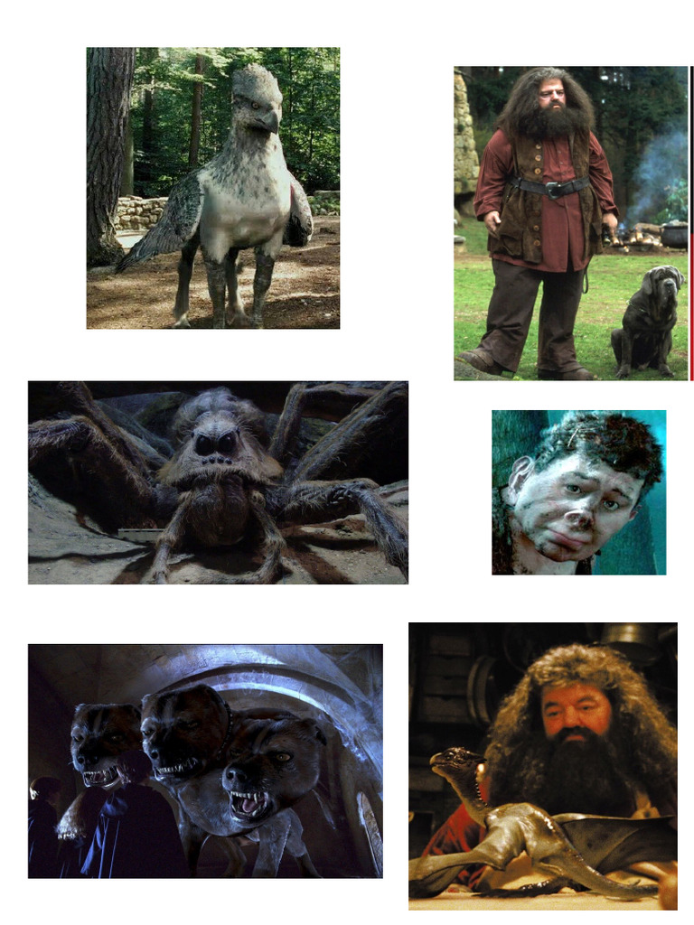 Hagrid | PDF