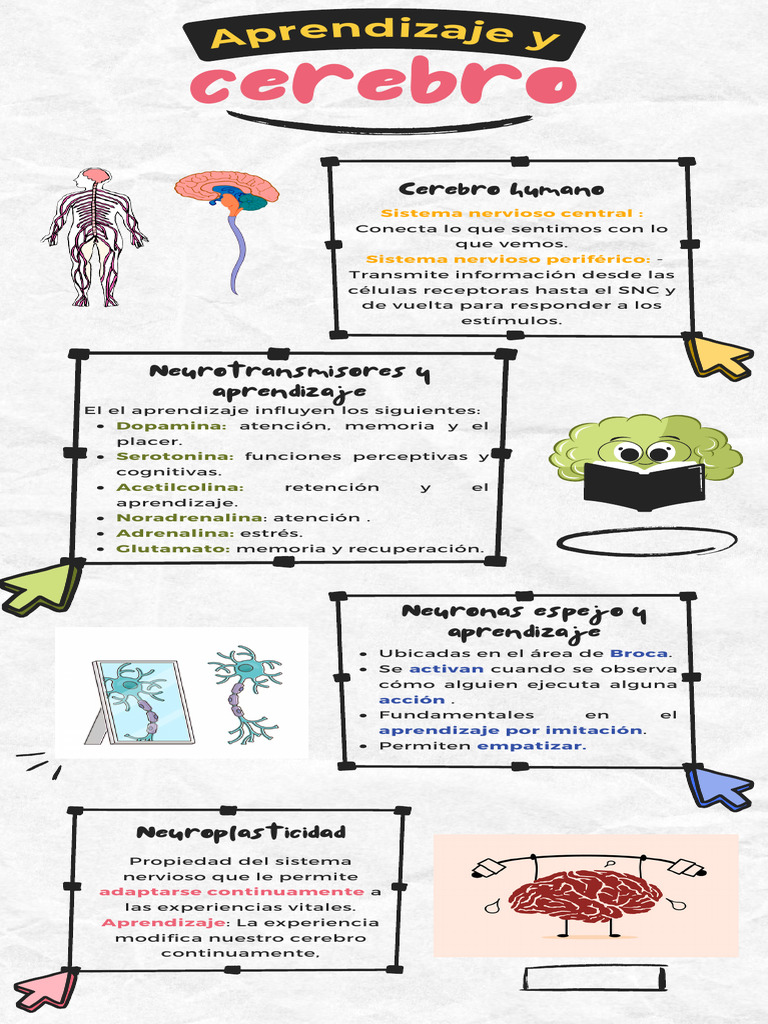 Aprendizaje Y Cerebro Pdf Cerebro Aprendizaje