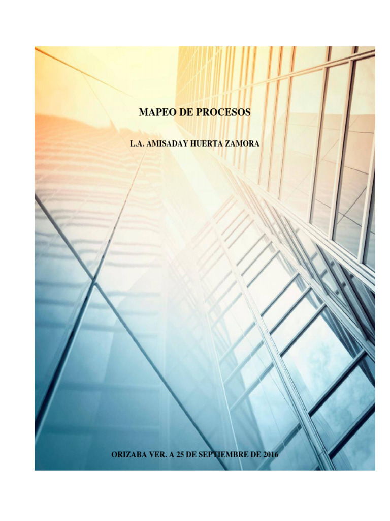 Definicion Etapas Mapeo Procesos 1 | PDF | Business | Calidad (comercial)