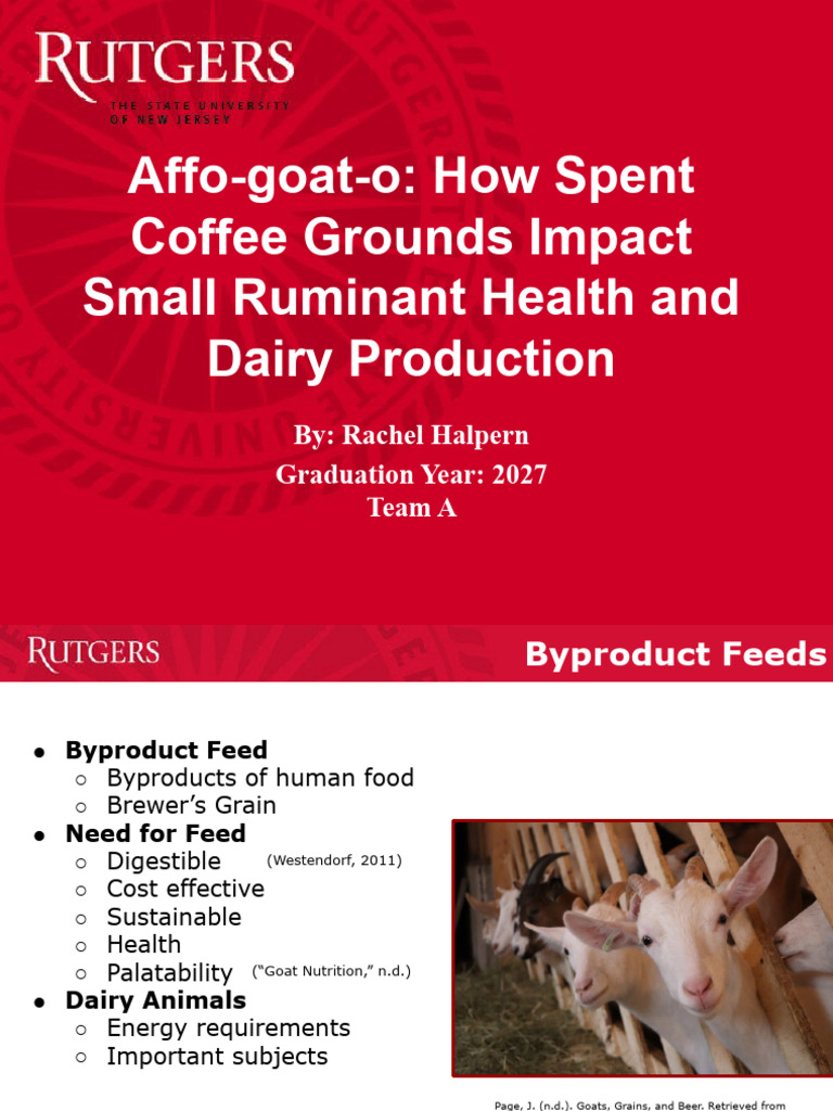 Final Nesa Slides Rachel Halpern 2024 | PDF | Ruminant | Biology