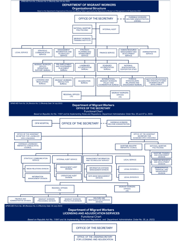Dmw Organizational And Functional Chart Pdf