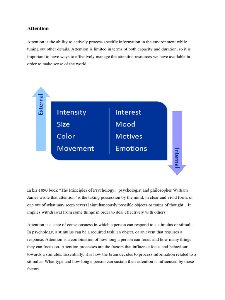 Attention Download Free Pdf Attention Cognitive Psychology