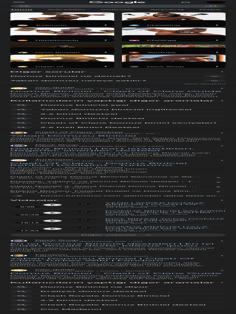 Domuz Binicisi - Google'Da Ara | PDF