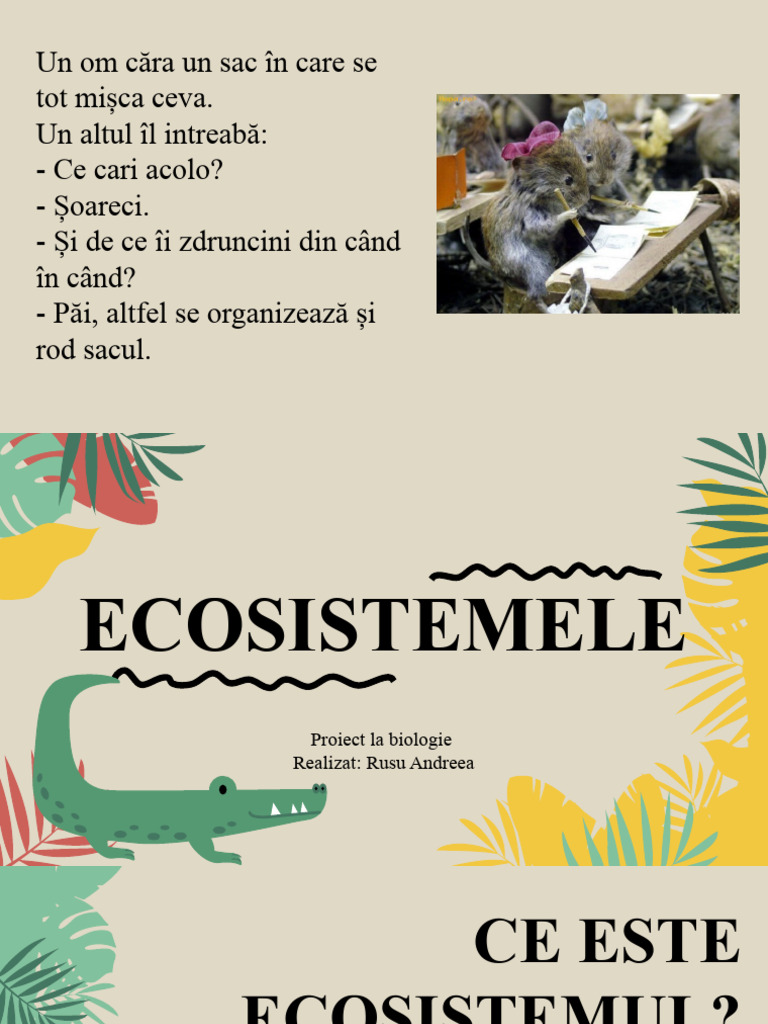 Ecosistem | PDF