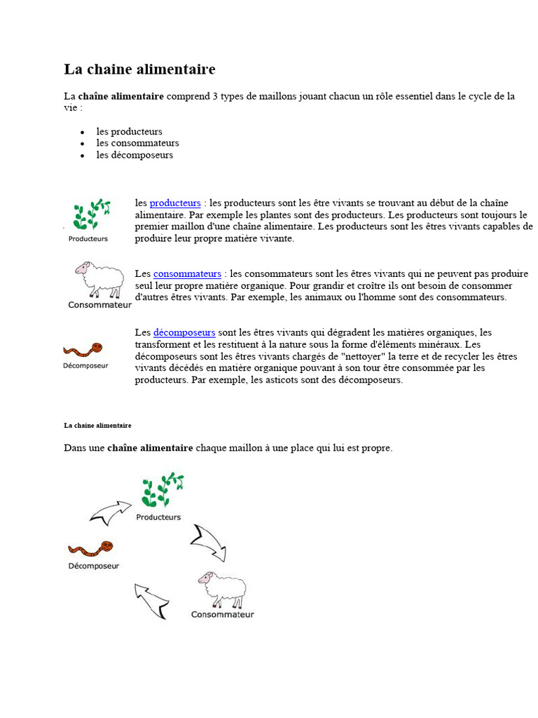 La Chaine Alimentaire | PDF | Des sports | Réseau trophique