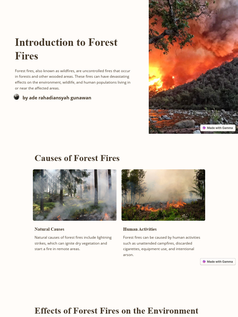 Forest Fires | PDF | Wildfire | Fires
