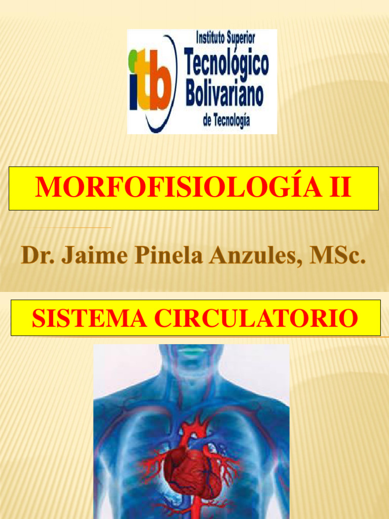 Morfo IIAparatoCardiocirculatorio | PDF