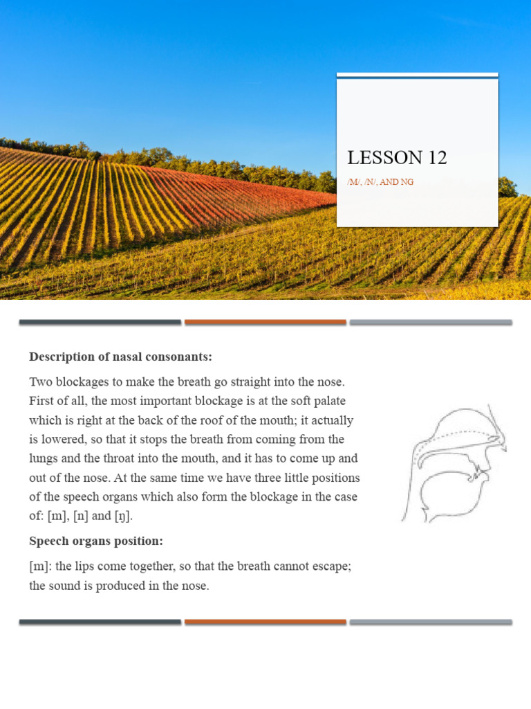 Lesson 12 - Nasal Consonant - M, N, NG | PDF