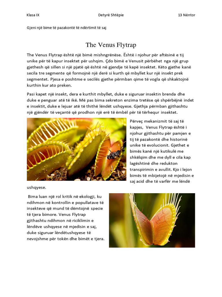 Venus Flytrap!!!! | PDF