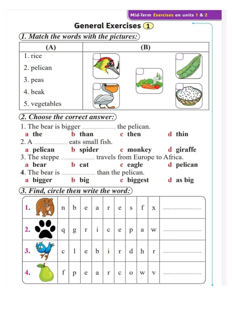 Final Connect Revision | PDF
