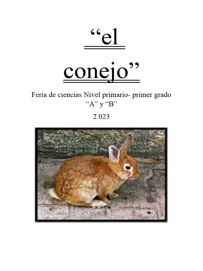 Los Conejos | PDF