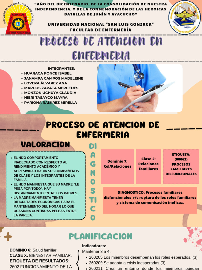 Proceso de Atencion en Enfermeria | PDF
