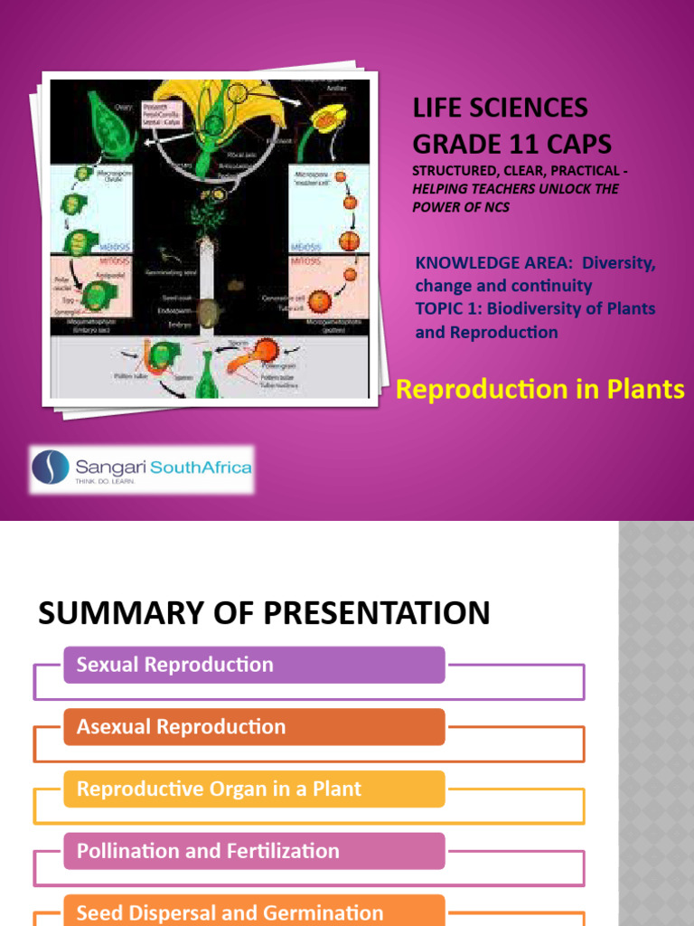 PP10 Reproduction in Plants-1 | PDF | Sexual Reproduction | Flowers
