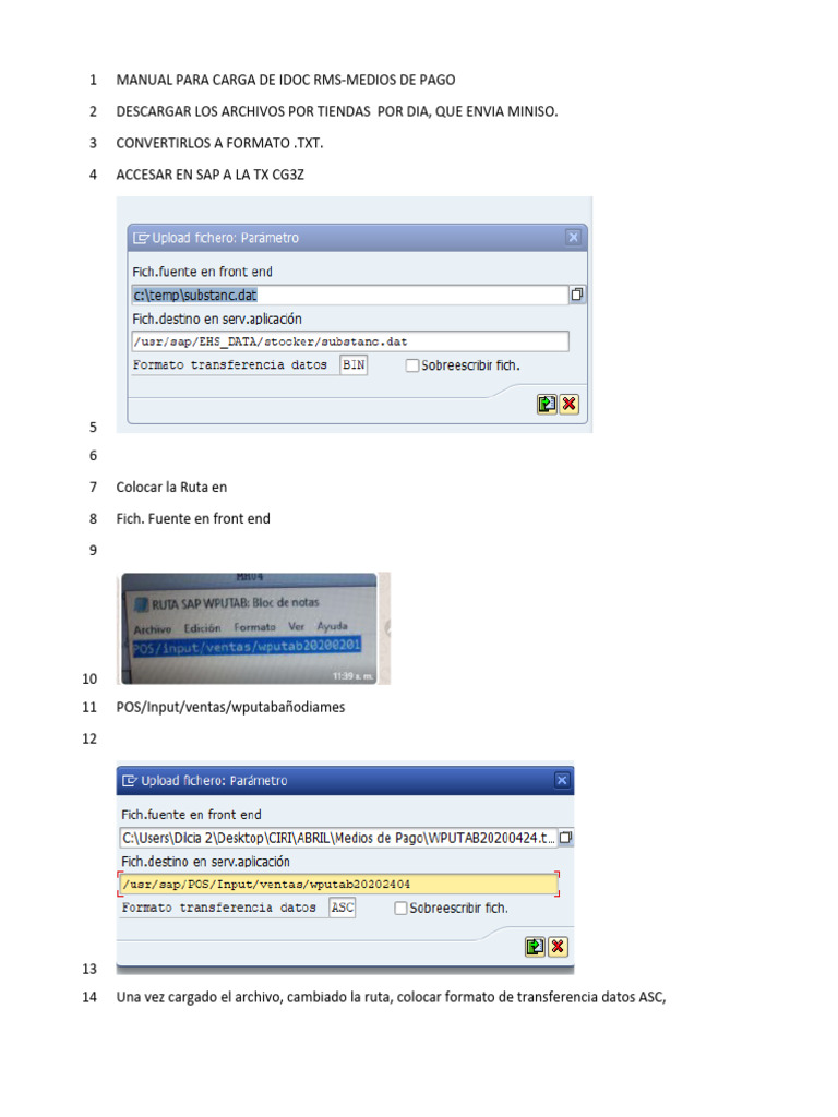 Manual para Carga de Idoc RMS | PDF | Negocios | Informática