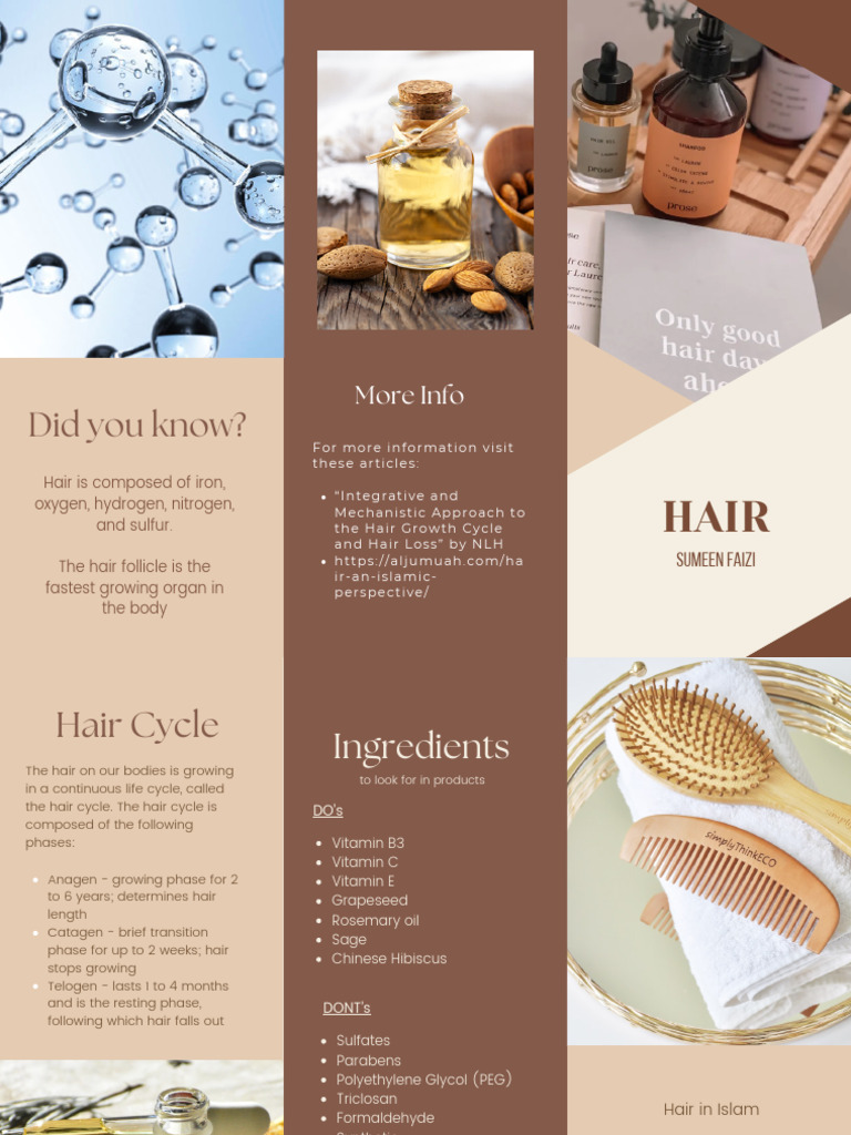 hair pamphlet | PDF