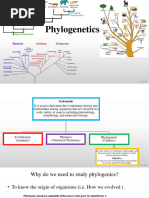 Steps To Construct A Phylogenetic Tree Using MEGA Software | PDF ...