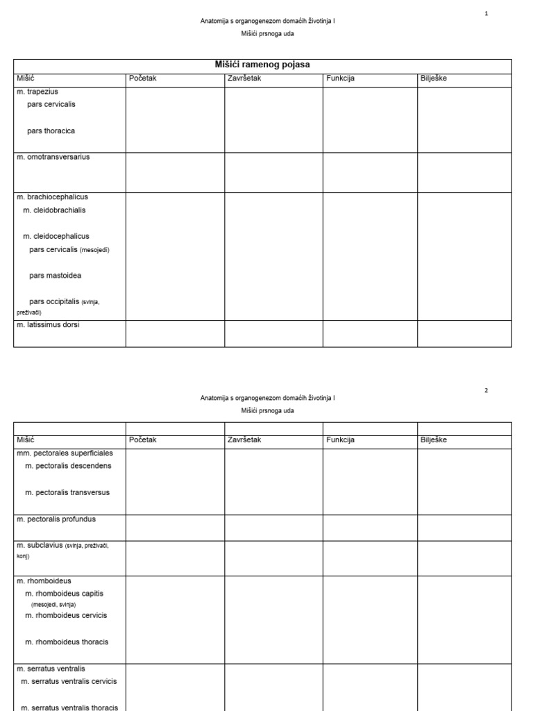 07 - Misici Prsnog Uda | PDF