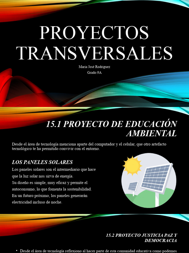 Proyectos Transversales | PDF