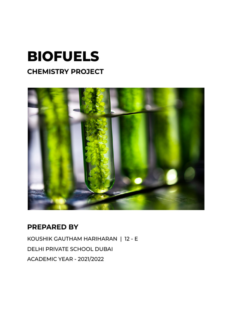Biofuels Chem Project Koushik | PDF