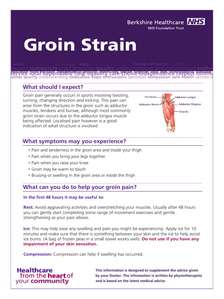 Groin-Strain Leaflet PDF | PDF | Pain | Causes Of Death