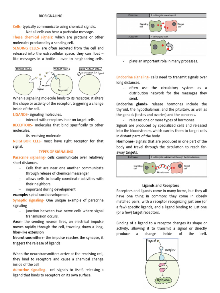 Biochem Finals | PDF | Cell Signaling | Hormone