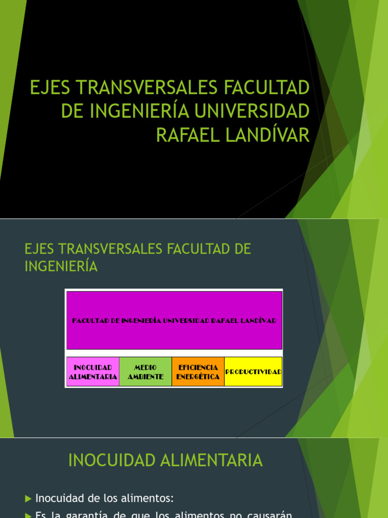 Presentación Ejes Transversales Facultad Ingeniería | PDF