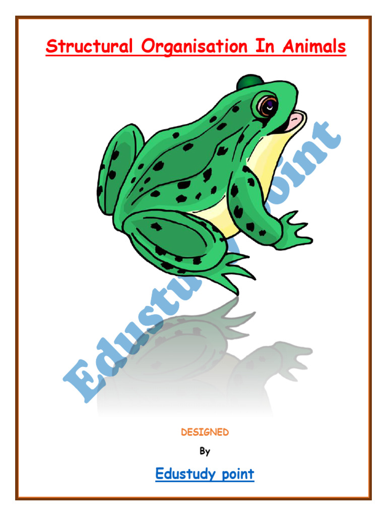 Structural Organisation in Animals (Edustudy Point) - Unlocked | PDF