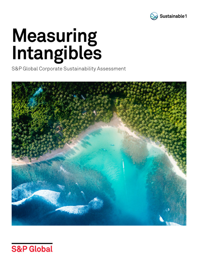 DJSI CSA Measuring Intangibles | PDF | Sustainability | Risk
