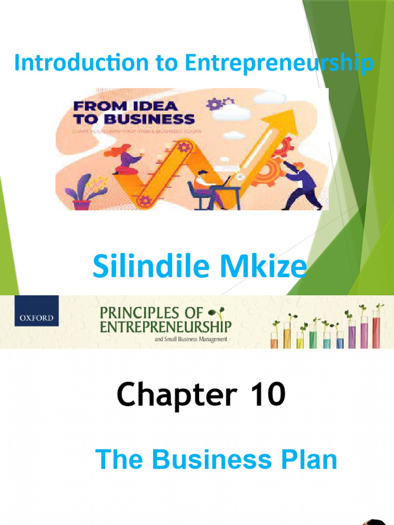 Business Plan Essentials for Entrepreneurs | PDF | Business