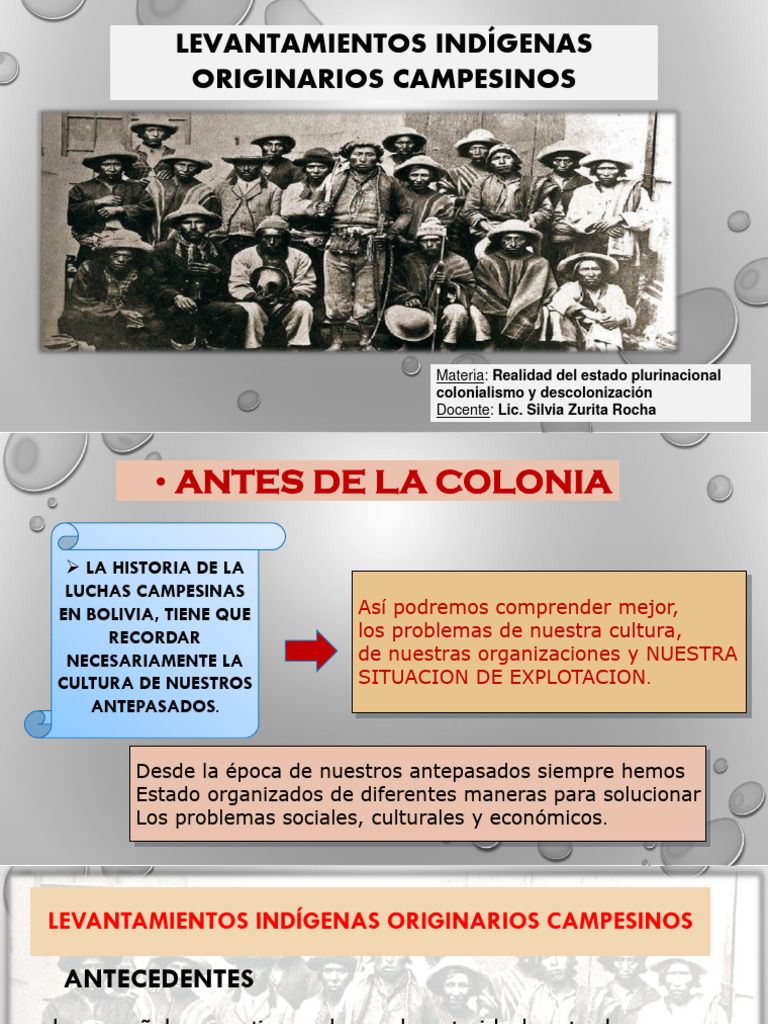 Levantamientos Indígenas | PDF