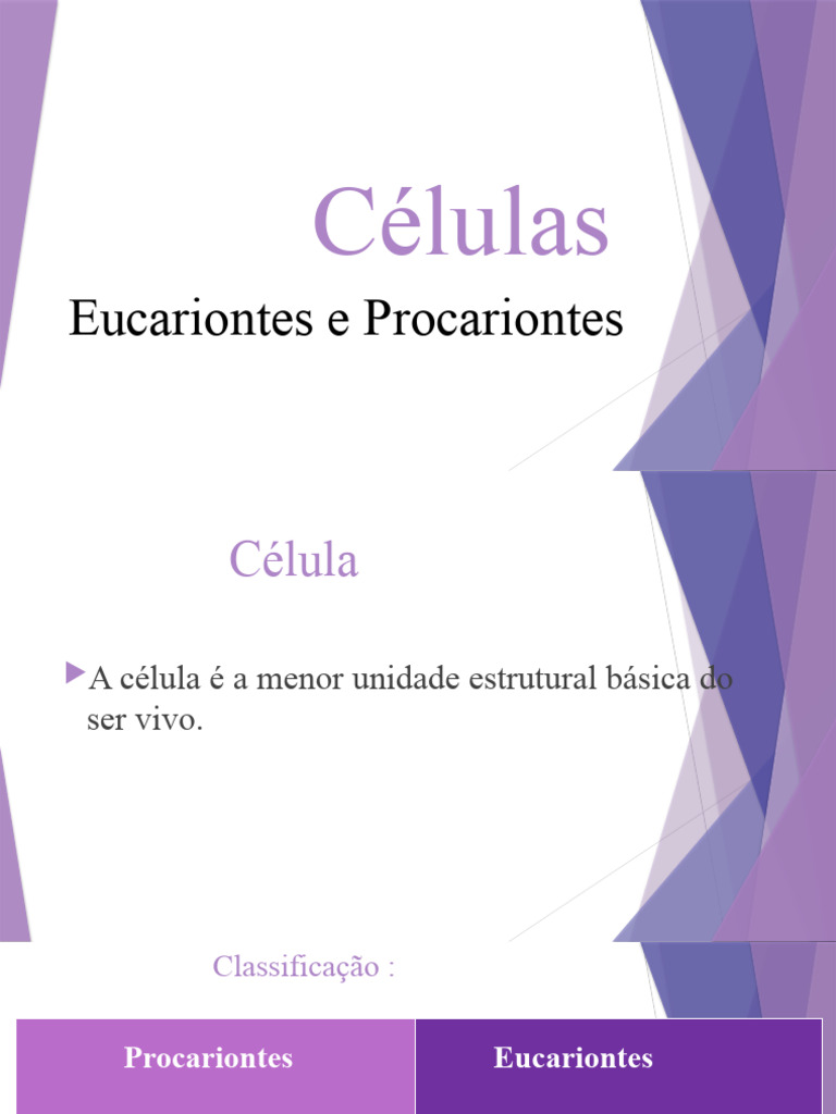 Células - Eucarionte e Procarionte 1-1 | PDF