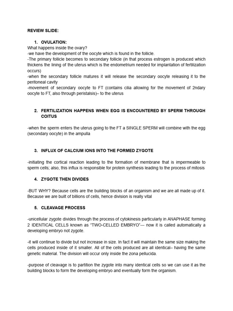 Cleavage, Blastulation, and Implantation | PDF