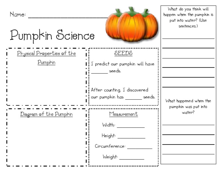 Pumpkin Seed Prediction and Analysis | PDF