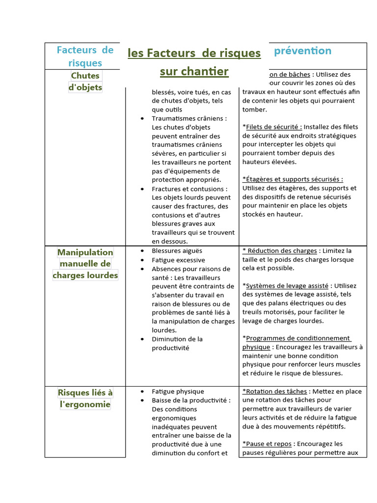 Facteurs de Risques | PDF
