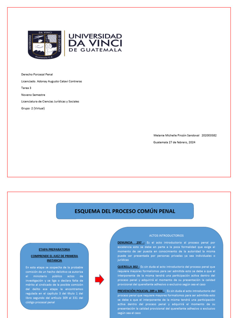 Esquema Proceso Penal Común | PDF | Sentencia (ley) | Queja