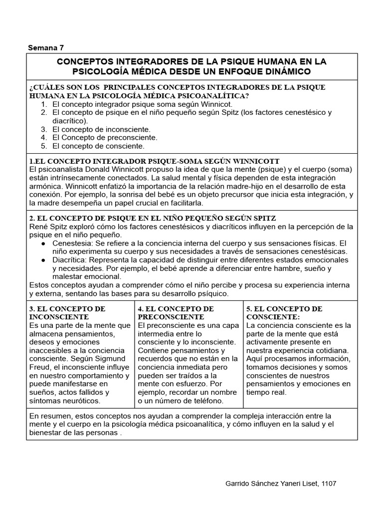 Conceptos Integradores de La Psique Humana en La | PDF | Psique ...
