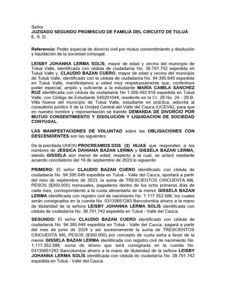 Poder Divorcio | PDF | Divorcio