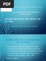 Patrones de Barbara Carper | PDF | Conocimiento | Enfermería