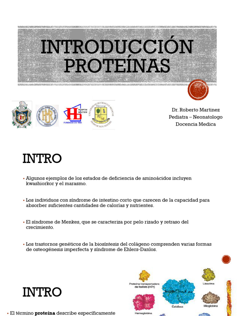 Introducci-N Prote-Nas | PDF