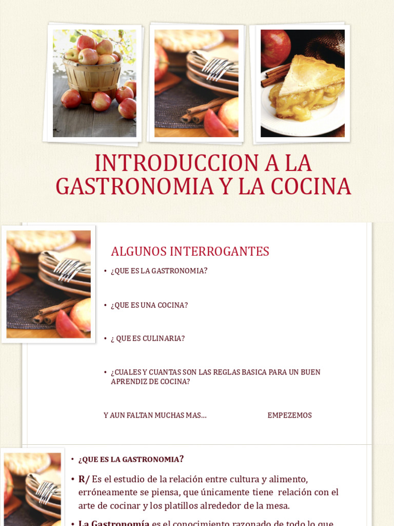 Introduccion Ala Gastronomia y La Cocina 1 | PDF | Gastronomía | Artes ...