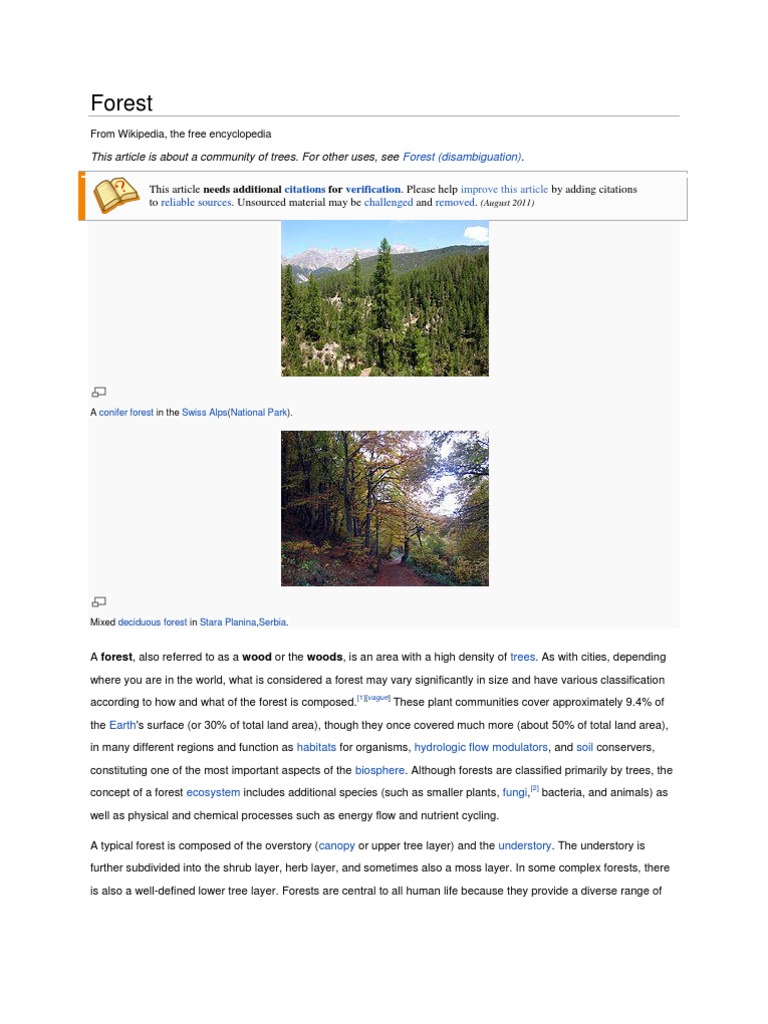 Types of Forest | PDF | Forestry | Forests