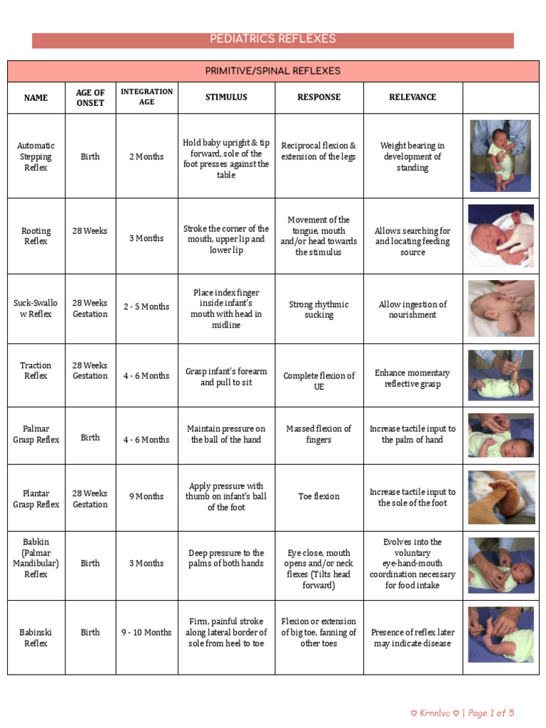 Reflexes Table | PDF | Anatomical Terms Of Motion | Human Anatomy