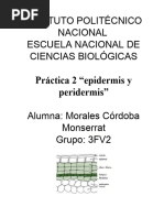 Tricomas - Qué Son, Función y Tipos | PDF | Plantas | Hoja