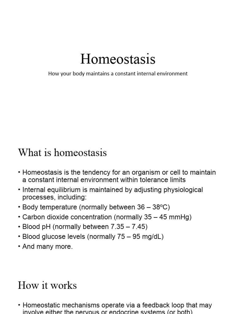 Homeostasis Slides | PDF | Homeostasis | Endocrine System