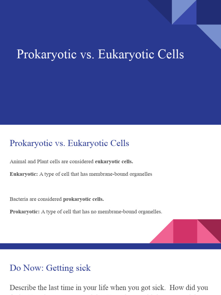 Prokaryotic vs. Eukaryotic Cells | PDF | Cell (Biology) | Prokaryote